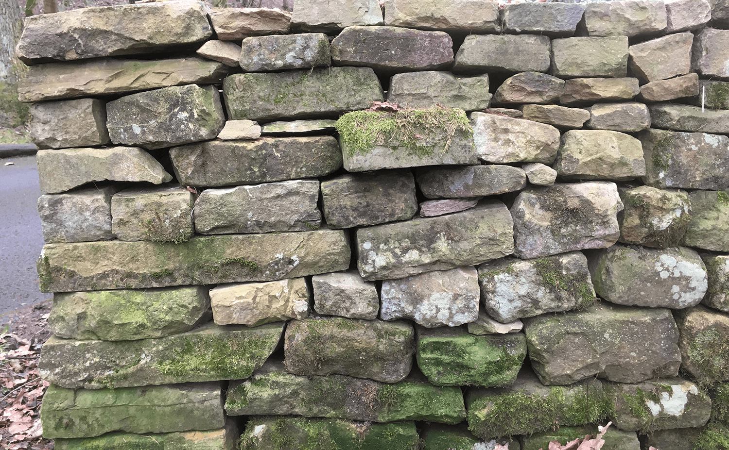 Chevin Forest Park | Dry stone walling ckeek end practice | Roots Crafts