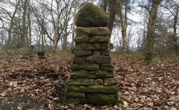Chevin Forest Park | Dry stone walling ckeek end practice | Roots Crafts