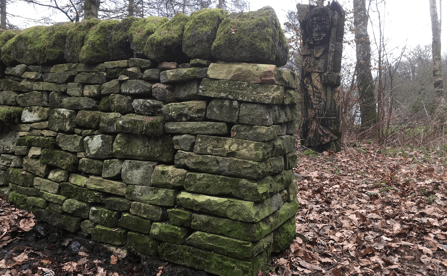 Chevin Forest Park | Dry stone walling ckeek end practice | Roots Crafts